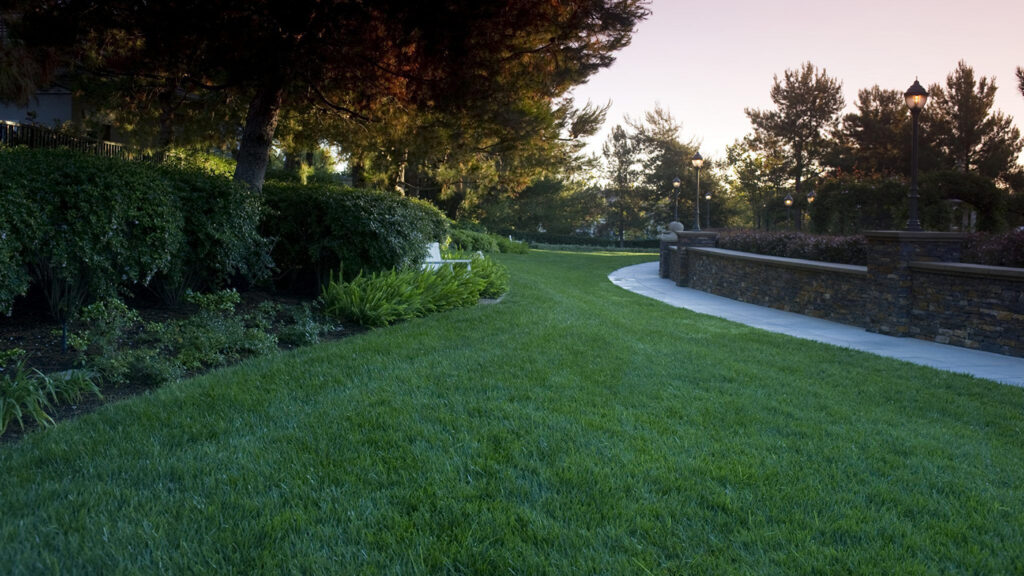 One Ford Road - Treasure Valley Landscape